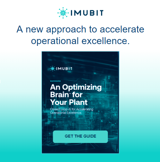 optimizing-brain-guide